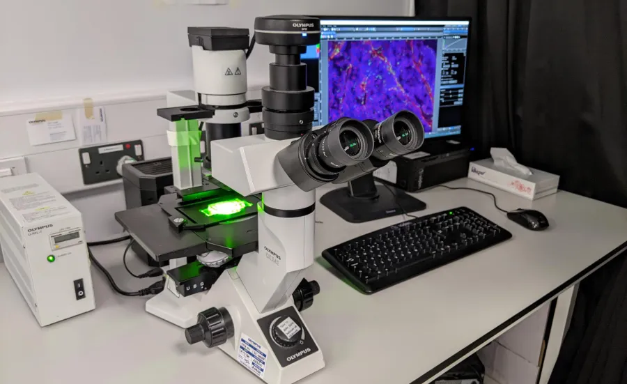 Cancer Sciences Microscopy Facility | University of Southampton